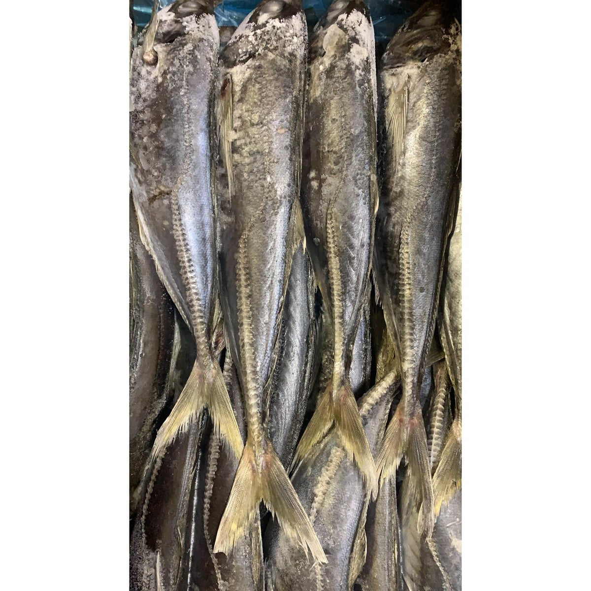 OYA OYA / Cinchard / Maquereau – Distribution LovAf