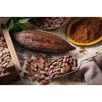 Fèves de Cacao – Distribution LovAf