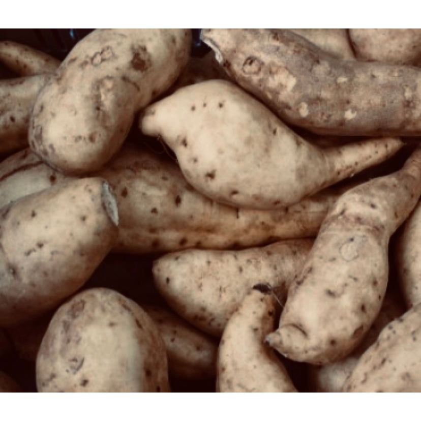 Patate douce - 1 Kg – Distribution LovAf